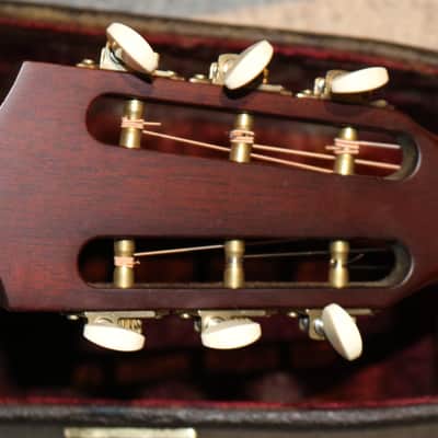 Taylor Custom TF - Beautiful Condition - No Tariffs | Reverb