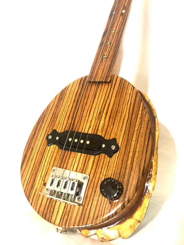 4 string Turtle shell slide guitar | Reverb