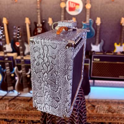 SL Amplification New Drive Reverb 50 Watts Combo 1x12” Custom | Reverb