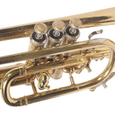Bach Stradivarius Cornet with Mouthpiece Mute and Case Used | Reverb