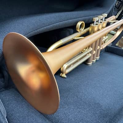 Taylor Nemesis Trumpet in Satin Matte Gold and Lacquer | Reverb