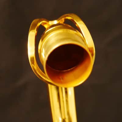 Tenor Saxophone Neck from Peter Ponzol | Reverb