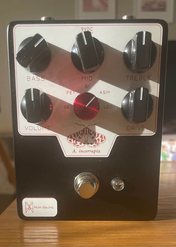 Moth Electric A Incorrupta 2025 | Reverb