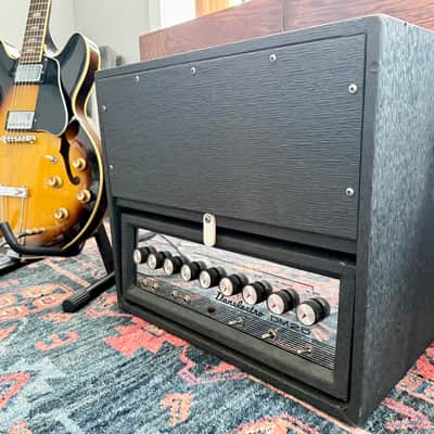 Danelectro DM25 Tube Amp Head & 1x12 Matching Cabinet w/ | Reverb
