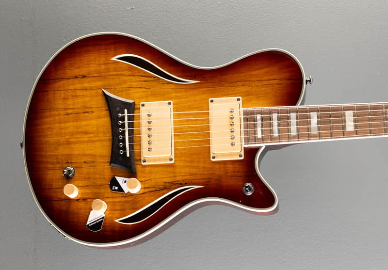 Michael Kelly Hybrid Special - Spalted Maple Burst | Reverb