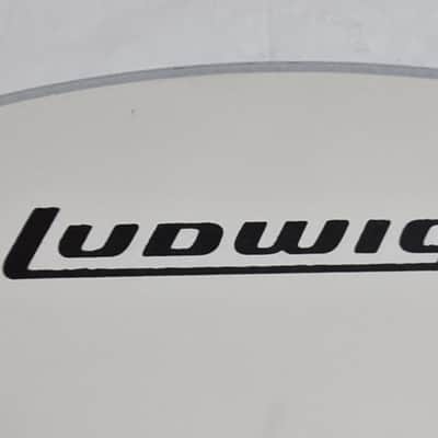 Evens 14" Coated Drum Head w/ Ludwig Logo | Reverb