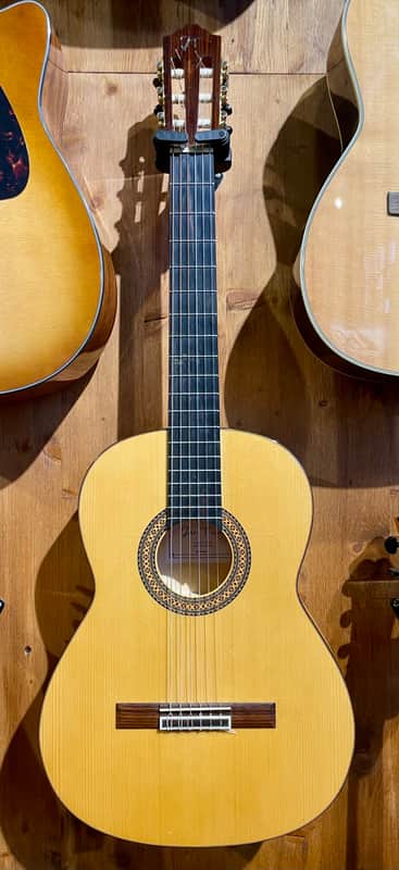 Jose Torres JTF-50 | Reverb France