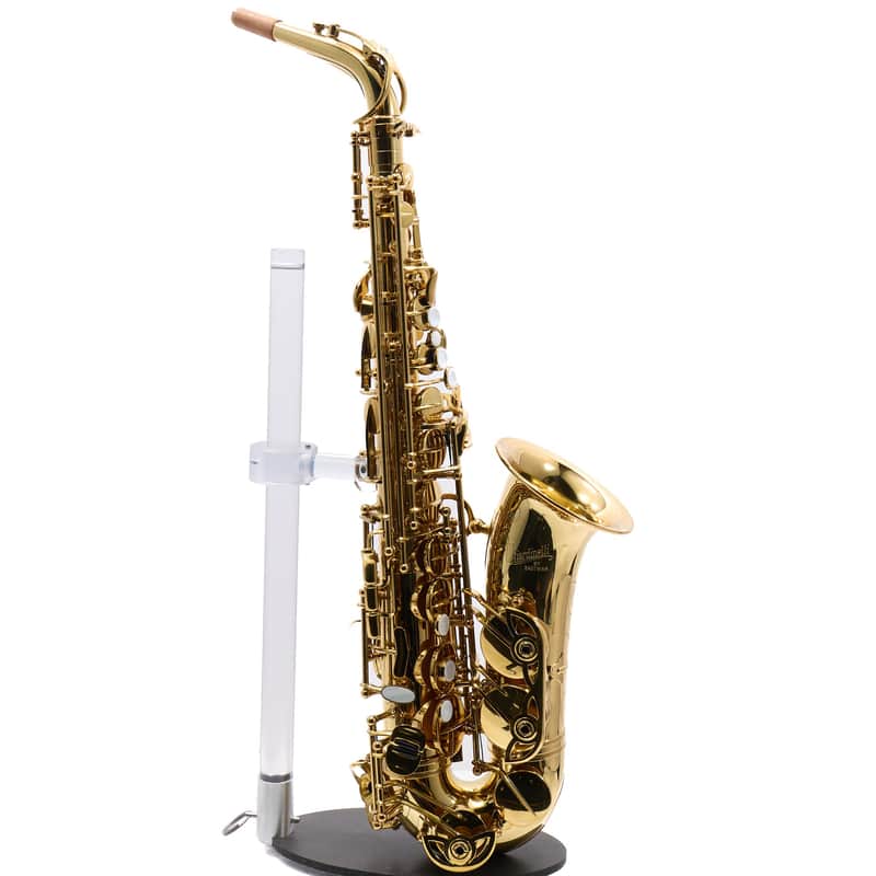 Giardinelli Model GAS-10 Advanced Series Alto Saxophone SN | Reverb