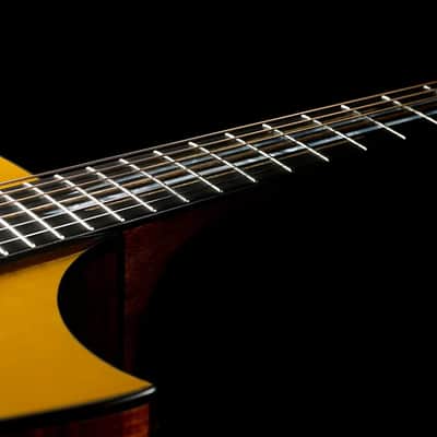 Cort Luxe Frank Gambale Signature Acoustic Guitar | Reverb Canada
