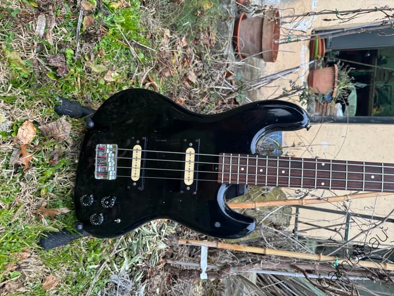 1982 EKO BB 55 Bass - Version 1017 - All Black with Matching | Reverb