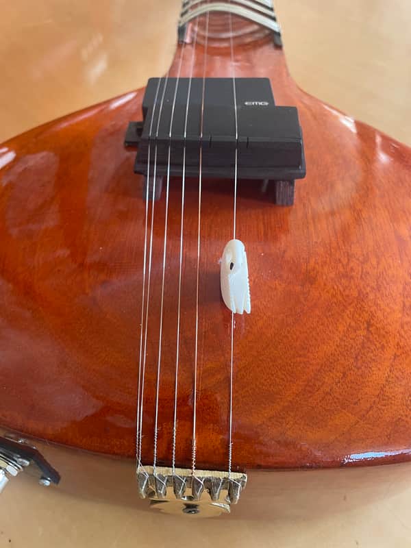 ZITAR ELECTRIC SITAR ( ZITAR) 2026 - TAN GLOSS | Reverb