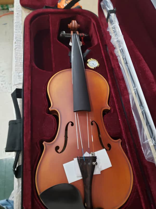 Gailani 4/4 Violin with case | Reverb