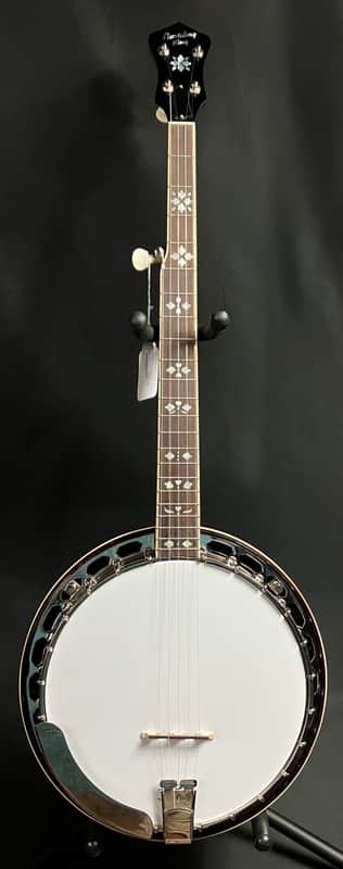 Recording King RK-R20 Songster 5-String Bluegrass Banjo | Reverb