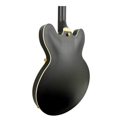 The Haze Nightshade SEG1975BK Maple Semi-Hollow Arched Top | Reverb
