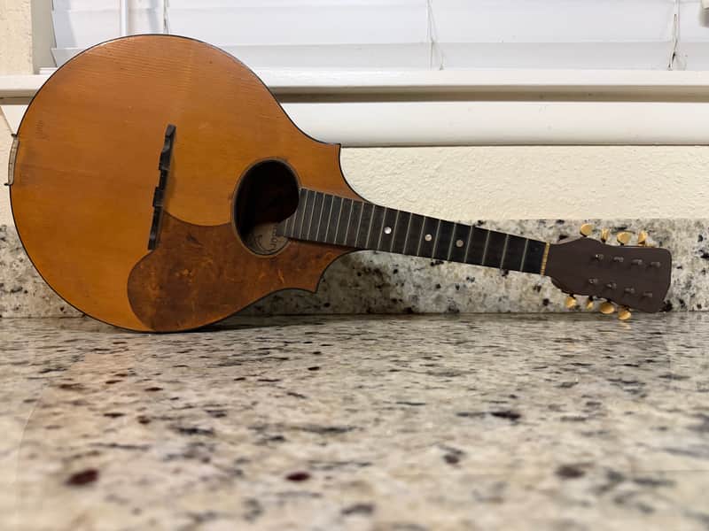 Lyon & Healey American Conservatory Mandolin Needs Repair | Reverb