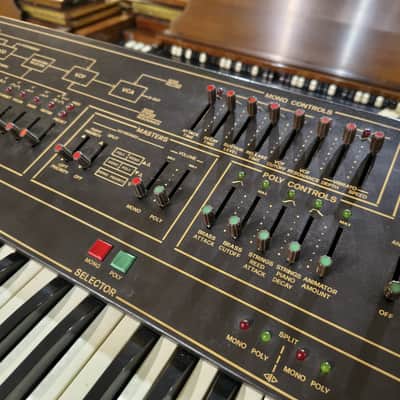 SIEL CRUISE Vintage Analog Italian Synthesizer RARE Mono and | Reverb
