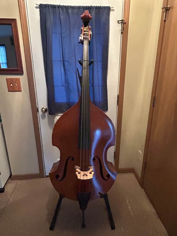 David Gage C1- Czech Ease 3/4 upright bass Early 2000’s | Reverb