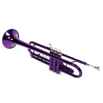 Ozici Brass B Flat Trumpet Violet | Reverb