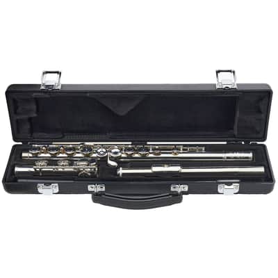 Selmer SFL301 Closed Hole Student Flute SN J1225013 | Reverb