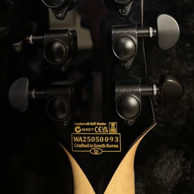 Wylde Audio Barbarian Pale Moon Ebony signed by Zakk Wylde | Reverb
