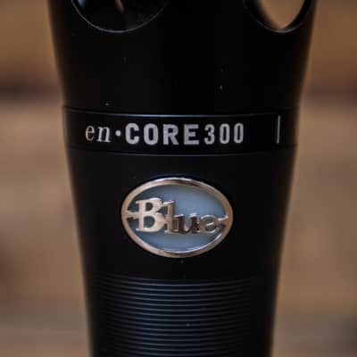 Blue Microphones enCore 300 Condenser Microphone Black | Reverb