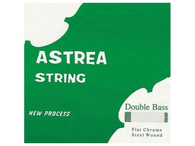 ASTREA DOUBLE BASS A STRING | Reverb