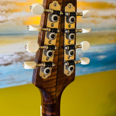 2022 Mike Black A2-Z Mandolin | Reverb