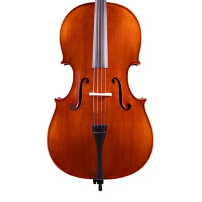 Testore Cello 4/4 from One Piece Back – Hand-Made in Romania | Reverb