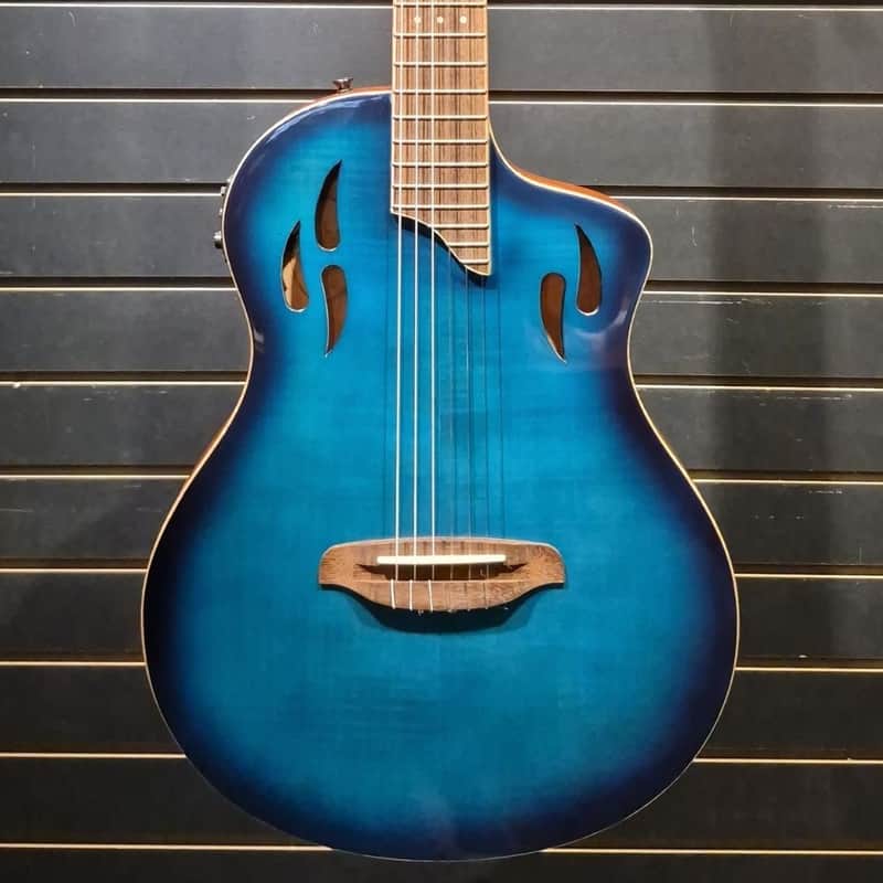 Used Ortega RTPDLX Nylon String Thinline Acoustic Guitar - | Reverb