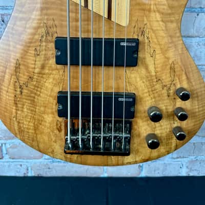 ESP LTD B-206SM 2013 - Spalted Maple | Reverb