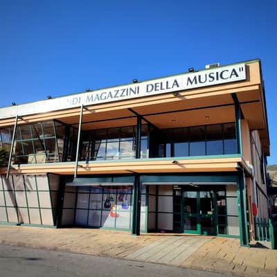 MARCUS MILLER V7 4 Swamp Ash Natural (2nd | Reverb The Netherlands