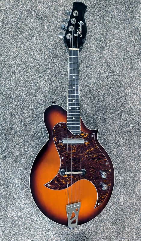 Kentucky KM-300E 4-String Electric Mandolin – Traditional | Reverb