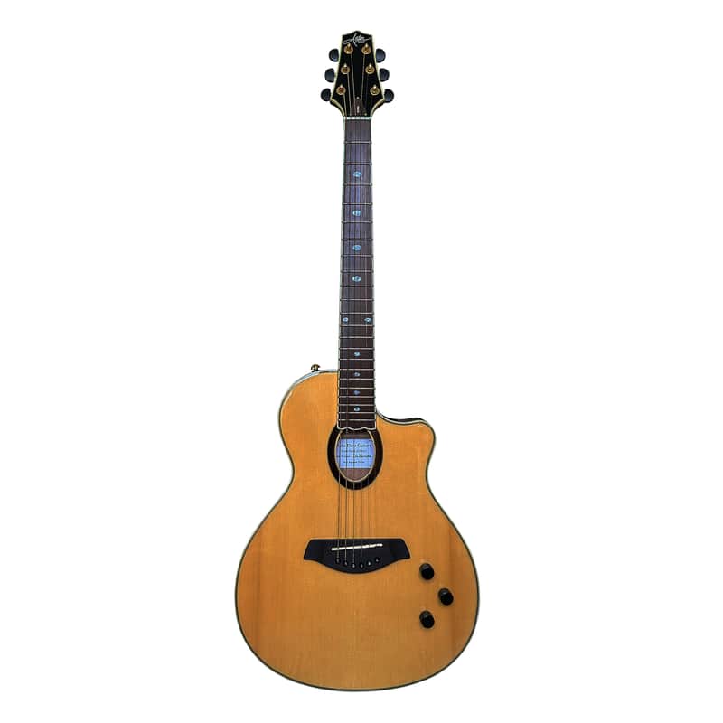 Aslin Dane Icosa 6 String thin line electric-acoustic guitar | Reverb