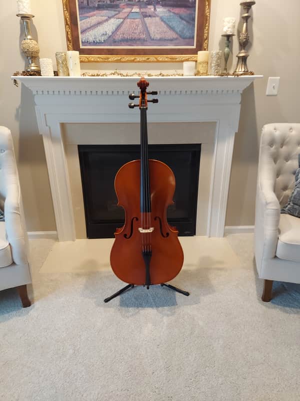 Eastman VC80 2022 - High'gloss Varnish | Reverb