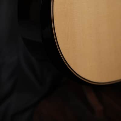 Taylor Next Generation Builder's Edition 814ce Indian | Reverb