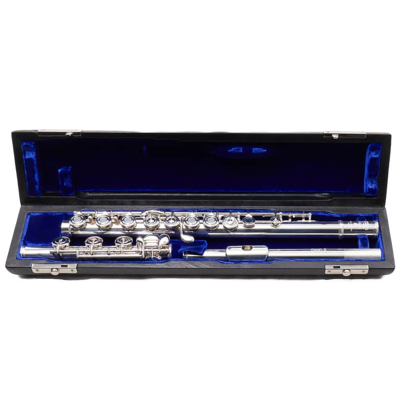 William S. Haynes Model Q-GALWAY 'James Galway' Concert Flute | Reverb