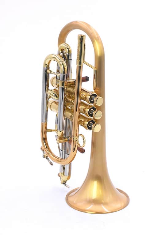 Carol Brass 6882T Dual Trigger Cornet - Lacquer | Reverb