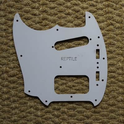 Skystang 1 Kurt Cobain Japanese Fender Mustang | Reverb Australia