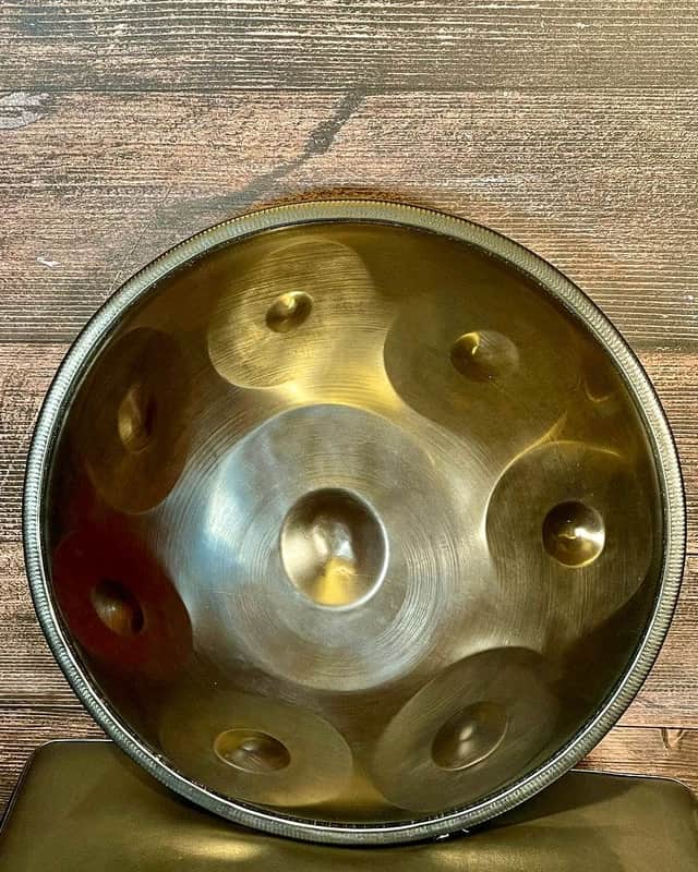 Meinl Sonic Energy Harmonic Art Handpan HD1 | Reverb