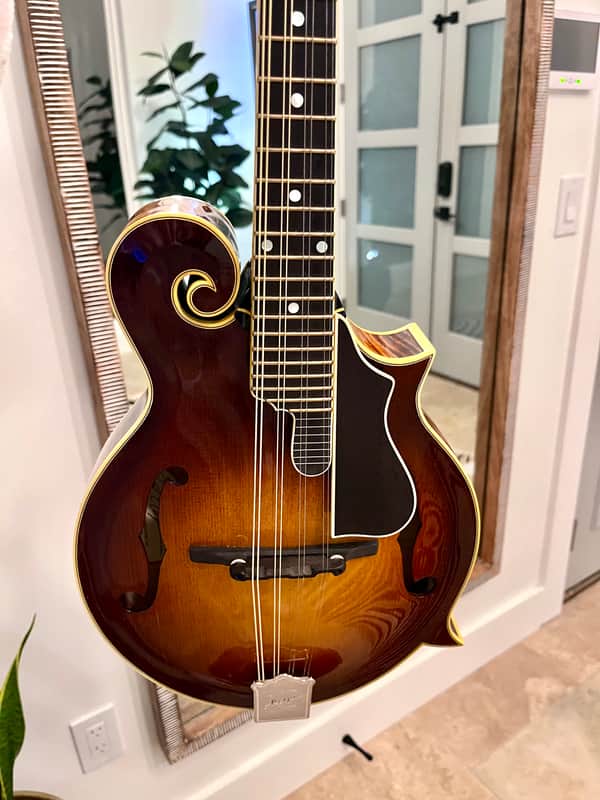 Aleyas F5D 2013-2020 - Sunburst Varnish Finish | Reverb