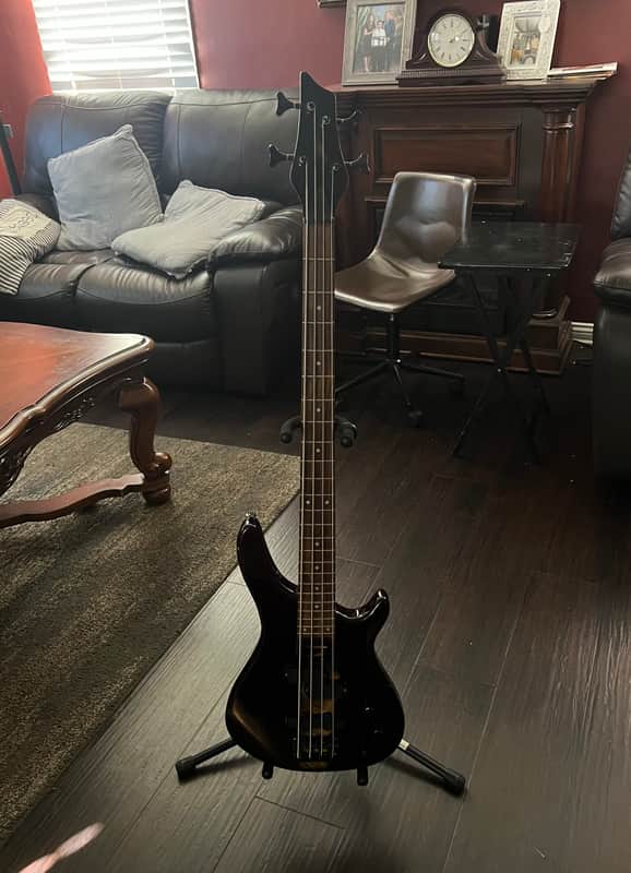 Bestler Bass Guitar | Reverb