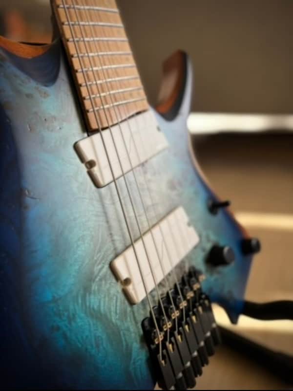 NK Guitars 7 string Custom Build - Fishman Fluence + Case | Reverb