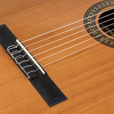 Salvador Cortez CC-22 Solid Top Artist Series Classic guitar | Reverb