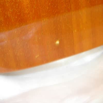 1980's Fender '69 Telecaster Thinline Electric Guitar, Maple | Reverb