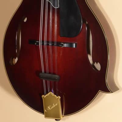 Heiden F-Style Mandolin (Heritage Model) 2007 | Reverb