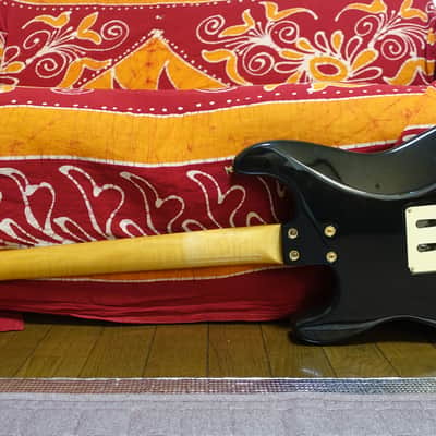 Fernandes The Function FST-125 w/Evans Pickups Stratocaster | Reverb