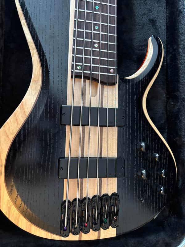 Ibanez 6-string PLEKD w/hard case | Reverb