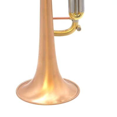 Thane Standard Series Sequoia Trumpet in Raw Brass | Reverb
