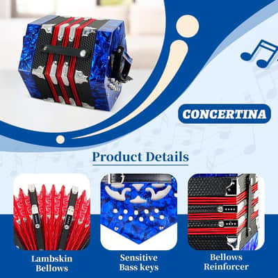 Concertinas,20-key accordion for adults, professional | Reverb