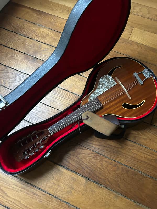 Hofner 545 cat eyes Mid 60s | Reverb